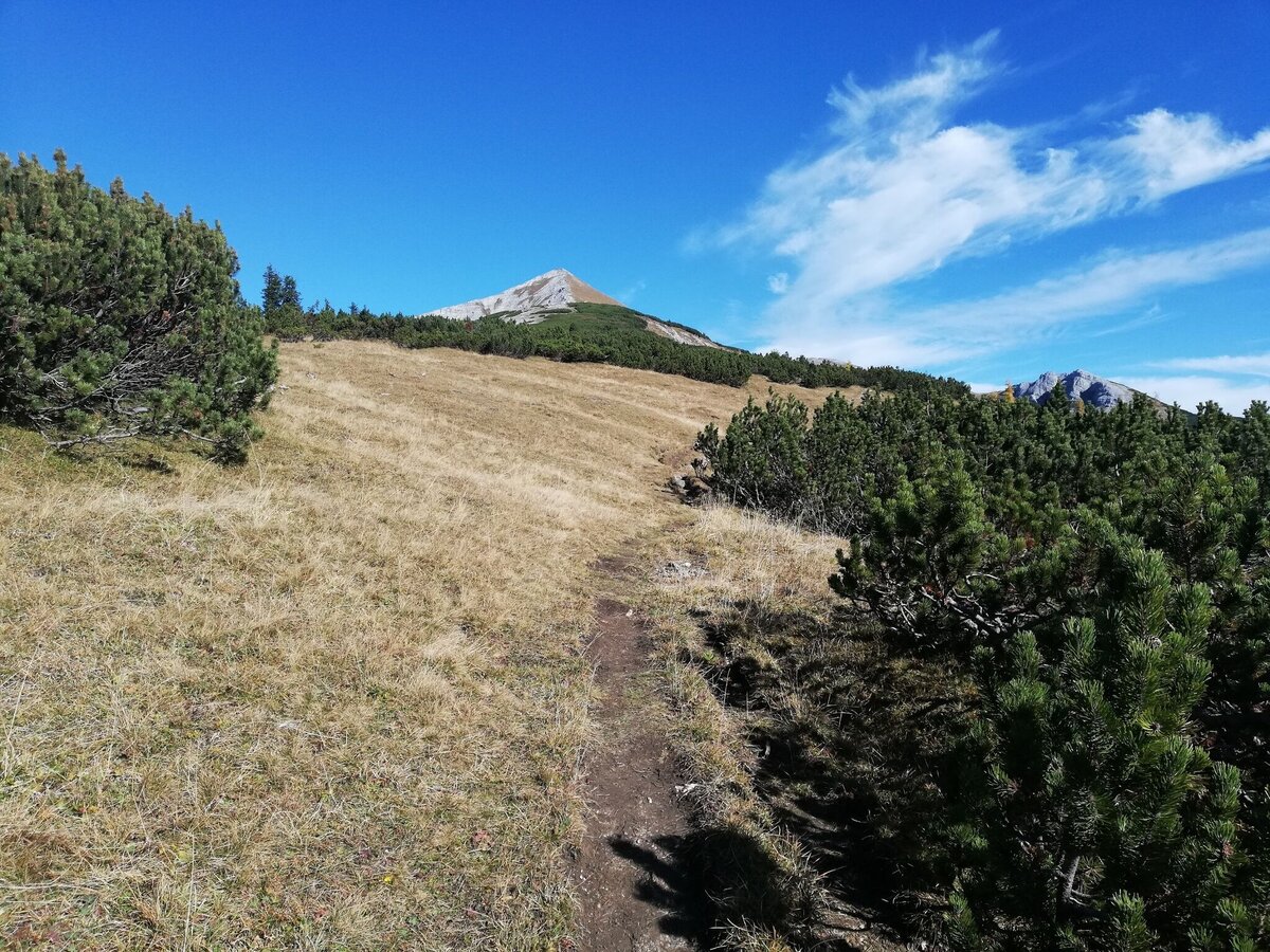Hochmölbing Gipfel | Schladming-Dachstein